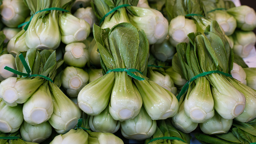 Pak Choi - Organic NTS Fertiliser Guide – Nutri-Tech Solutions Pty Ltd