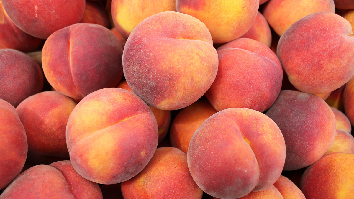 Peach - NTS Fertiliser Guide – Nutri-Tech Solutions Pty Ltd