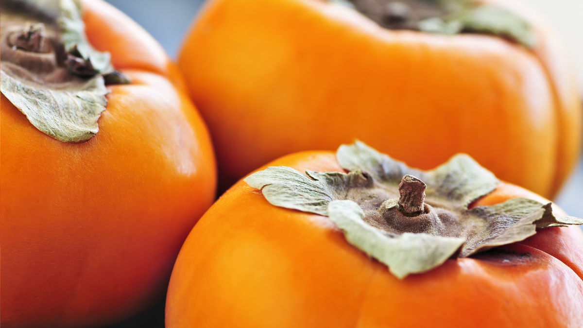 Persimmon - NTS Fertiliser Guide – Nutri-Tech Solutions Pty Ltd