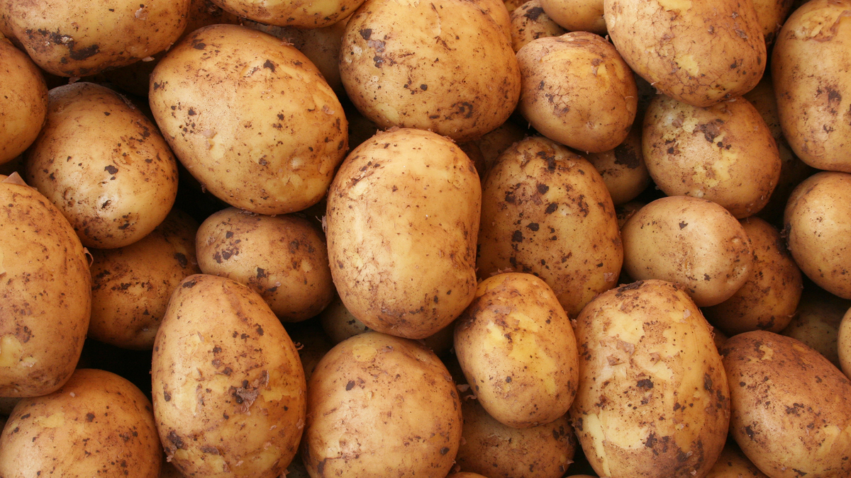 Potatoes - NTS Fertiliser Guide – Nutri-Tech Solutions Pty Ltd