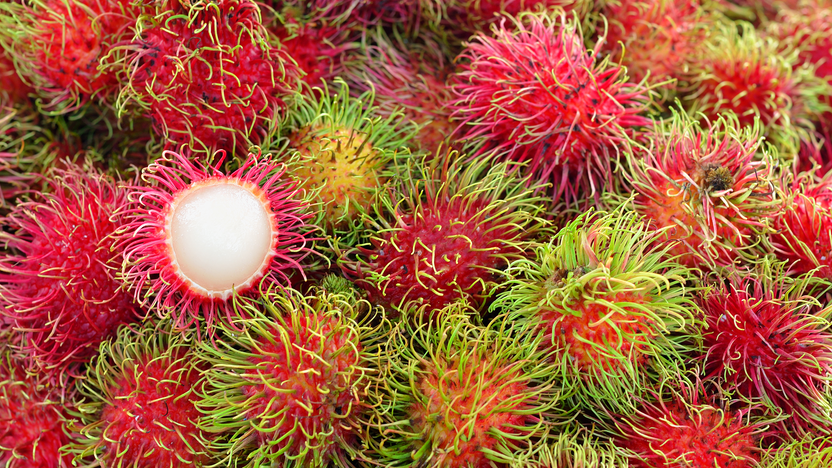 Rambutan - NTS Fertiliser Guide – Nutri-Tech Solutions Pty Ltd