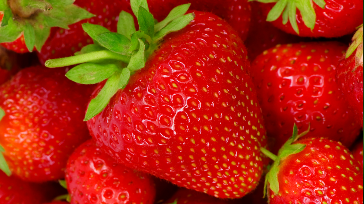 Strawberry - Organic NTS Fertiliser Guide – Nutri-Tech Solutions Pty Ltd