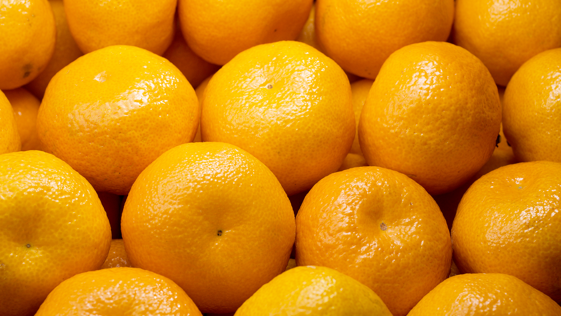 Mandarin - Organic NTS Fertiliser Guide – Nutri-Tech Solutions Pty Ltd