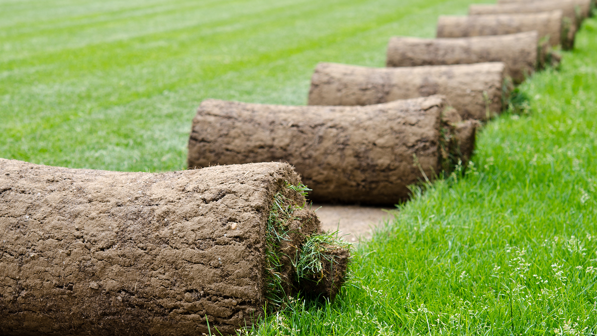 Turf - NTS Fertiliser Guide – Nutri-Tech Solutions Pty Ltd