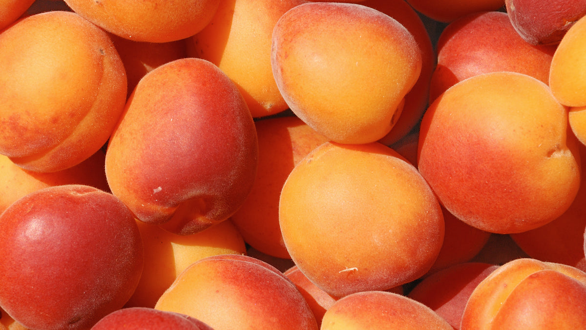 Apricot - Organic NTS Fertiliser Guide – Nutri-Tech Solutions Pty Ltd