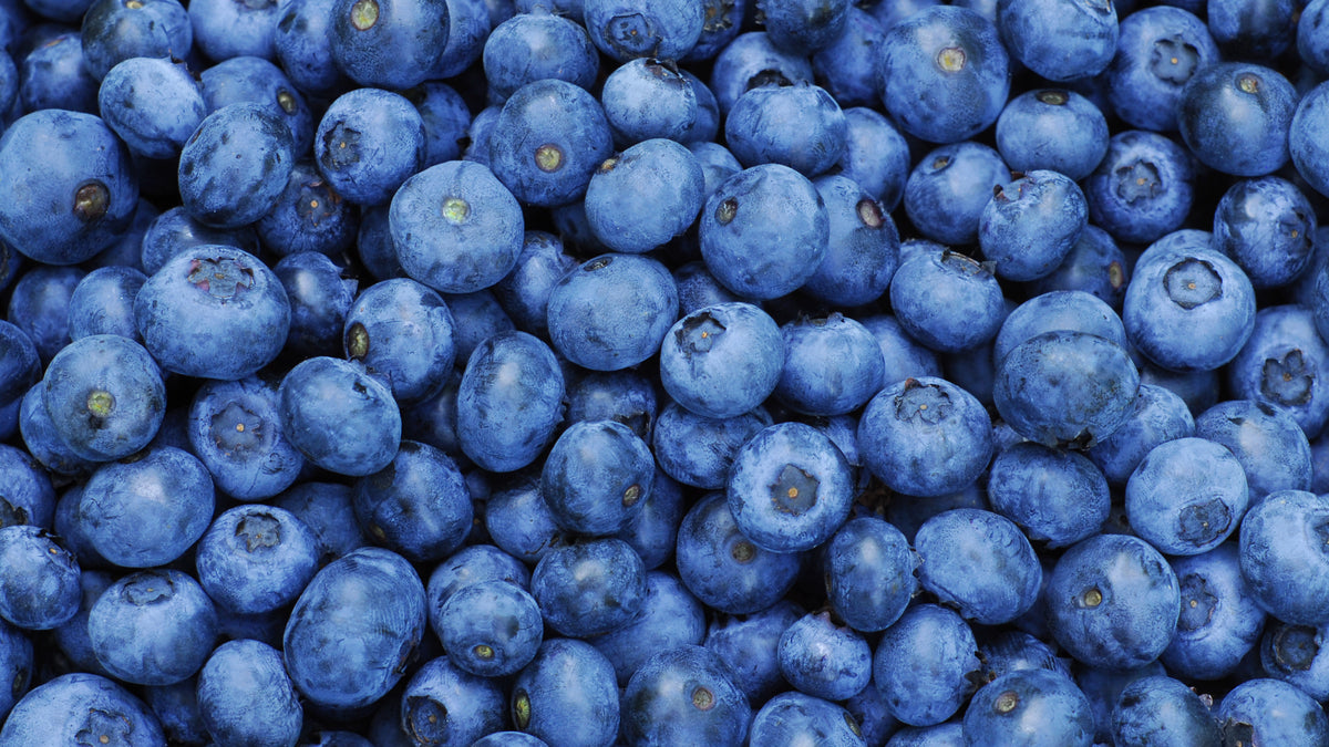 Blueberry - NTS Fertiliser Guide – Nutri-Tech Solutions Pty Ltd