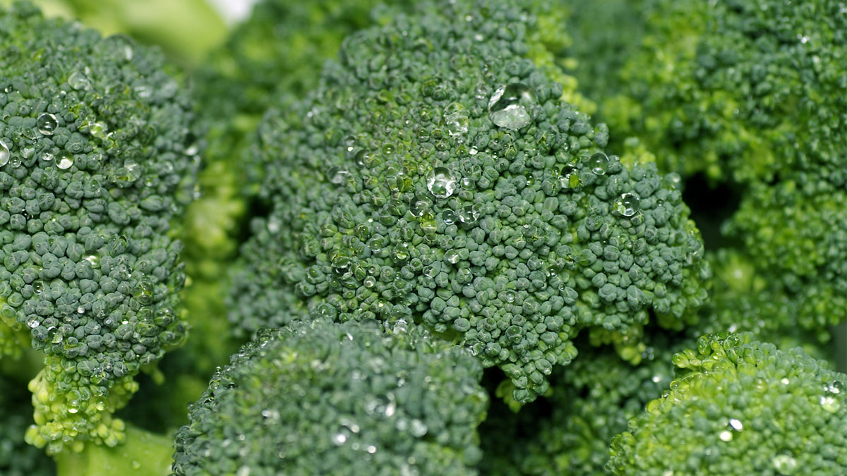 Broccoli - NTS Fertiliser Guide – Nutri-Tech Solutions Pty Ltd