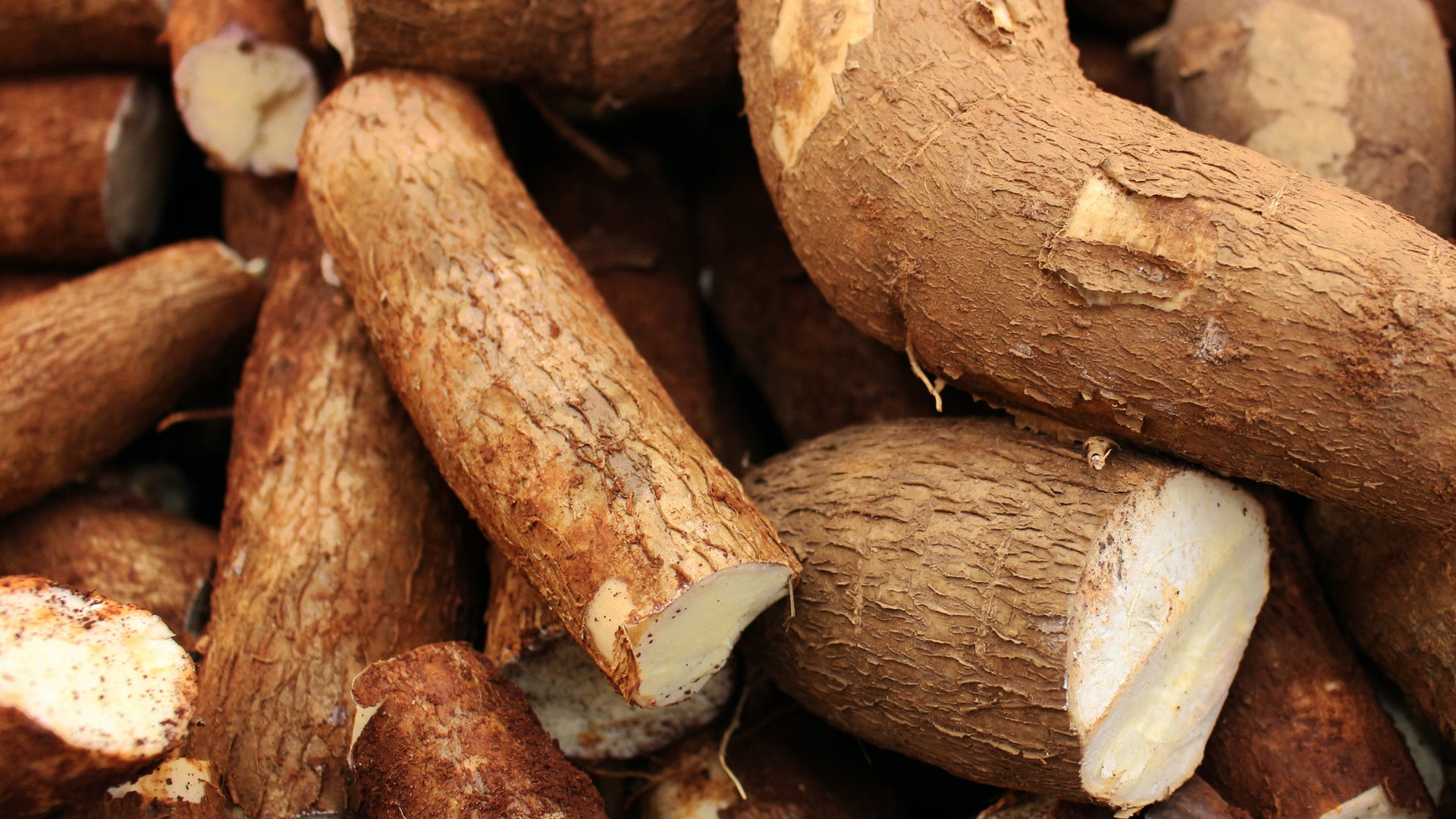 Cassava - NTS Fertiliser Guide – Nutri-Tech Solutions Pty Ltd