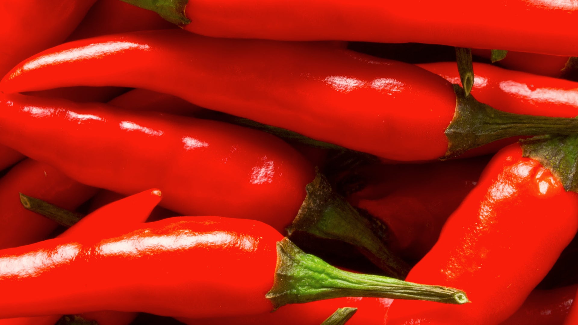 Chilli - NTS Fertiliser Guide – Nutri-Tech Solutions Pty Ltd