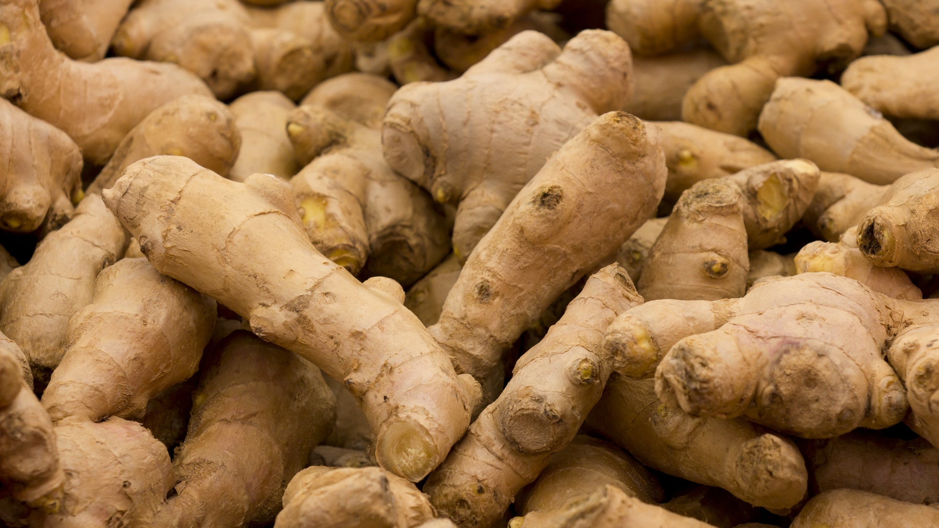 Ginger - NTS Fertiliser Guide – Nutri-Tech Solutions Pty Ltd