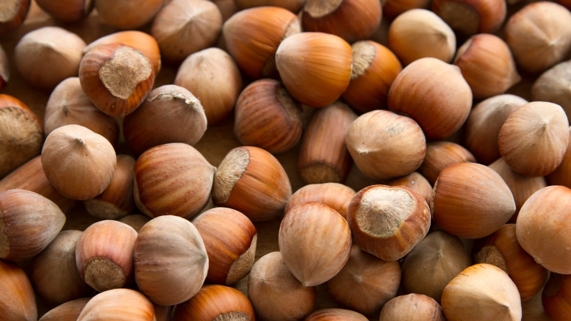 Hazelnut - Organic NTS Fertiliser Guide – Nutri-Tech Solutions Pty Ltd