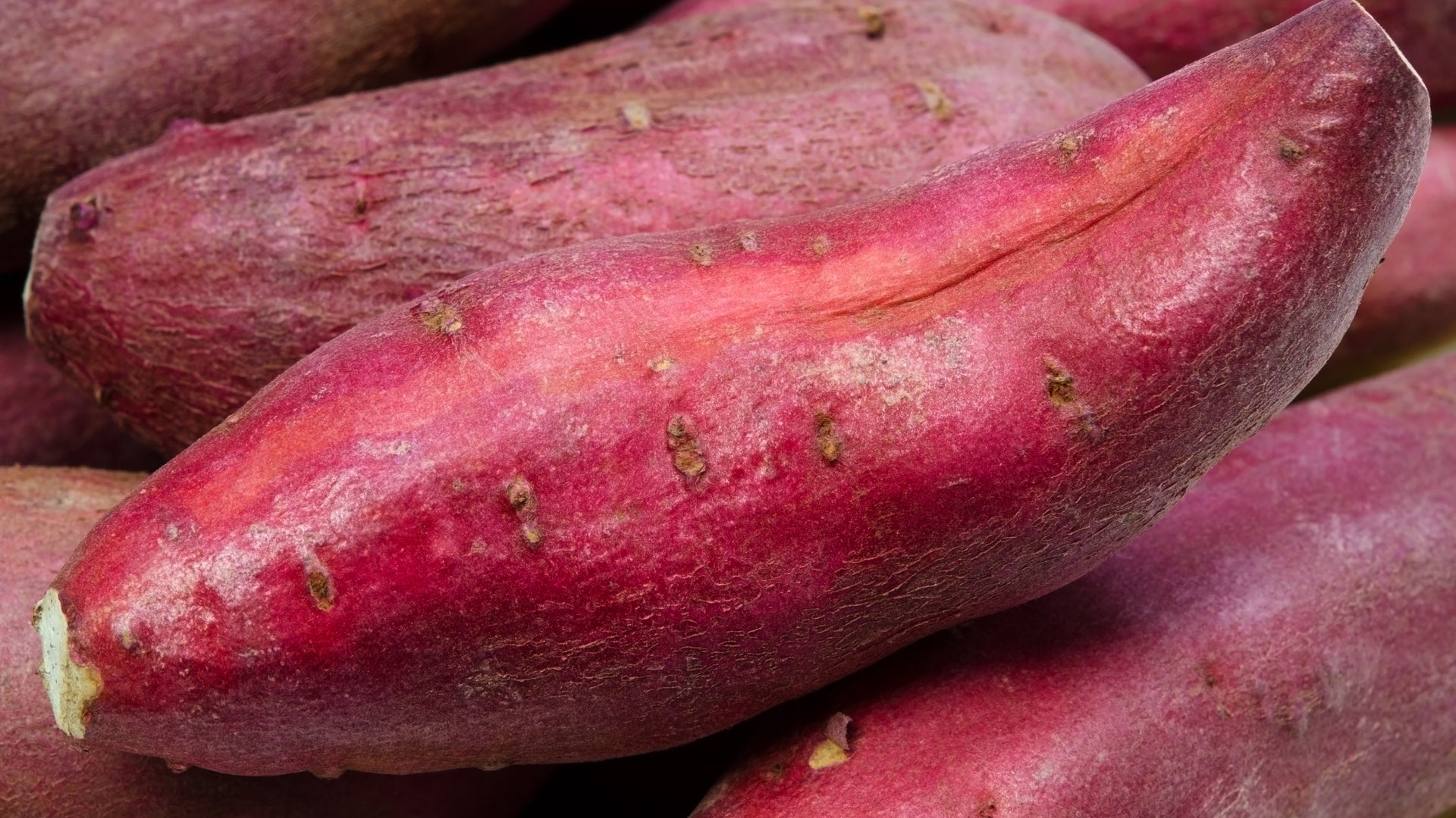 Kumara - NTS Fertiliser Guide – Nutri-Tech Solutions Pty Ltd