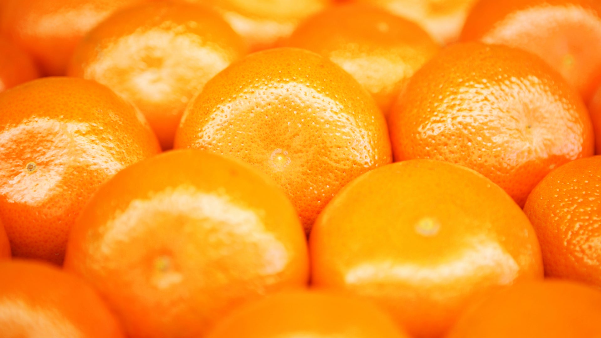Tangerine - Organic NTS Fertiliser Guide – Nutri-Tech Solutions Pty Ltd