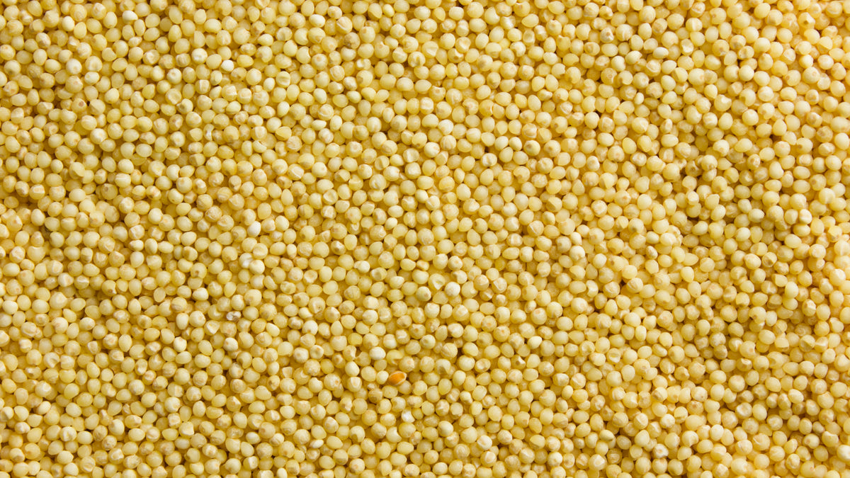 Millet - NTS Fertiliser Guide – Nutri-Tech Solutions Pty Ltd