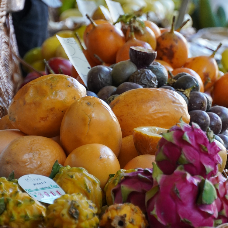 Tropical Fruit - NTS Fertiliser Guide – Nutri-Tech Solutions Pty Ltd