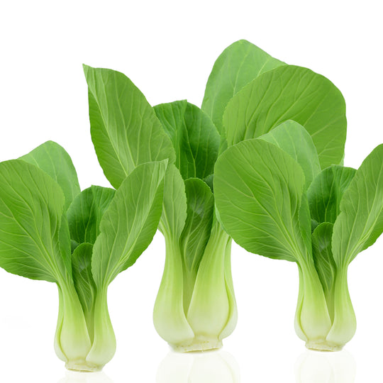 Bok Choy - NTS Fertiliser Guide – Nutri-Tech Solutions Pty Ltd