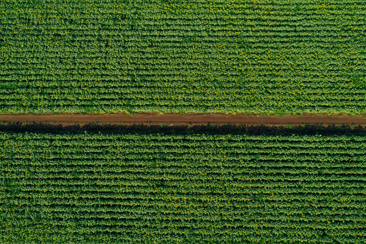 Collections – Nutri-Tech Solutions Pty Ltd